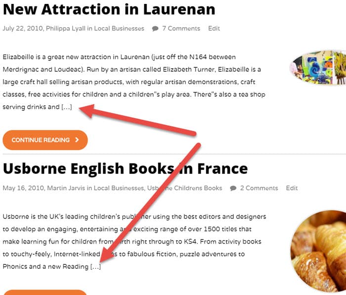 The WordPress Excerpt can increase blog posts traffic - DMJ